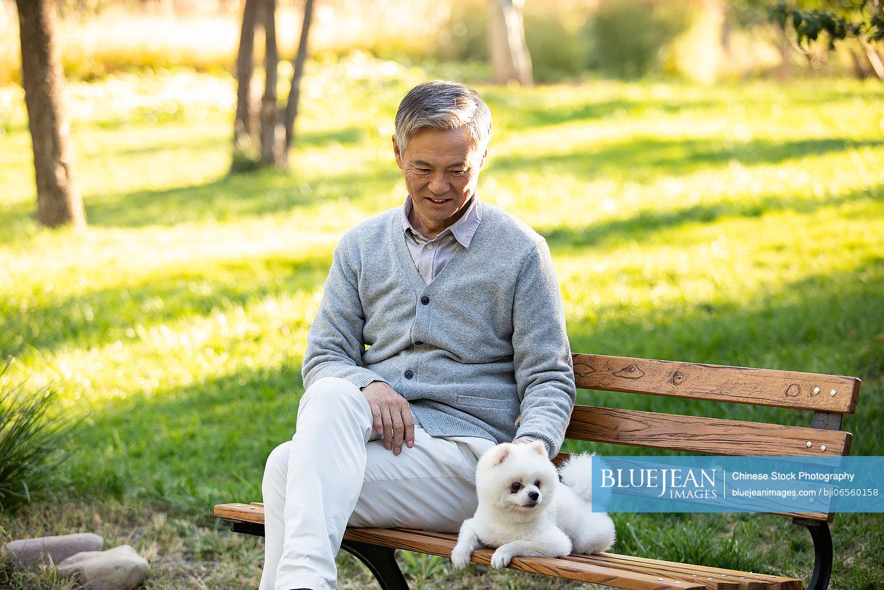 Cheerful senior Chinese man with a cute dog-High-res stock photo for ...