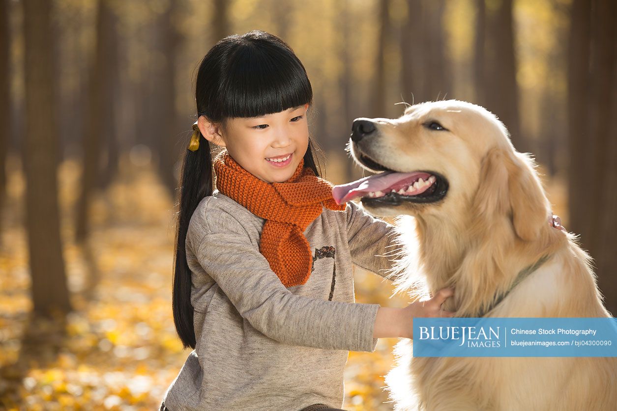 Little Chinese girl playing with dog in autumn woods-High-res stock ...