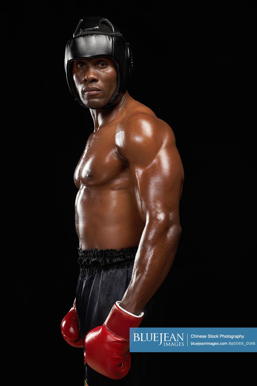 Profile View Of Boxer Looking At Camera-High-res stock photo for download