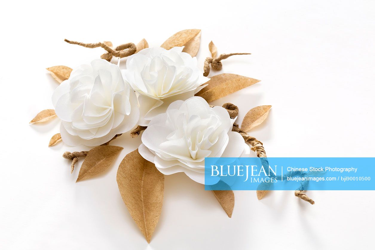 Paper flower-High-res stock photo for download