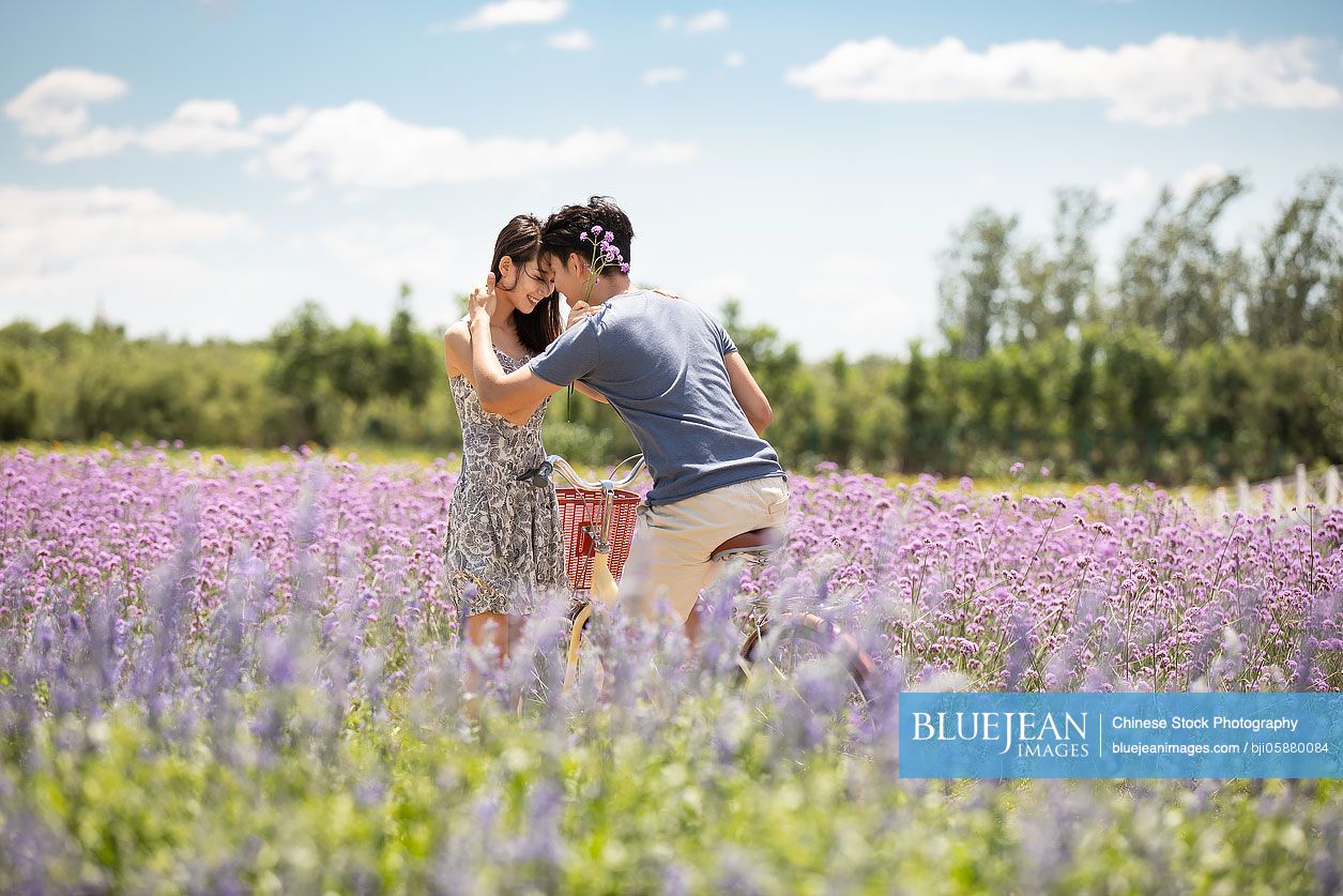 Happy young Chinese couple dating in lavender field-High-res stock ...
