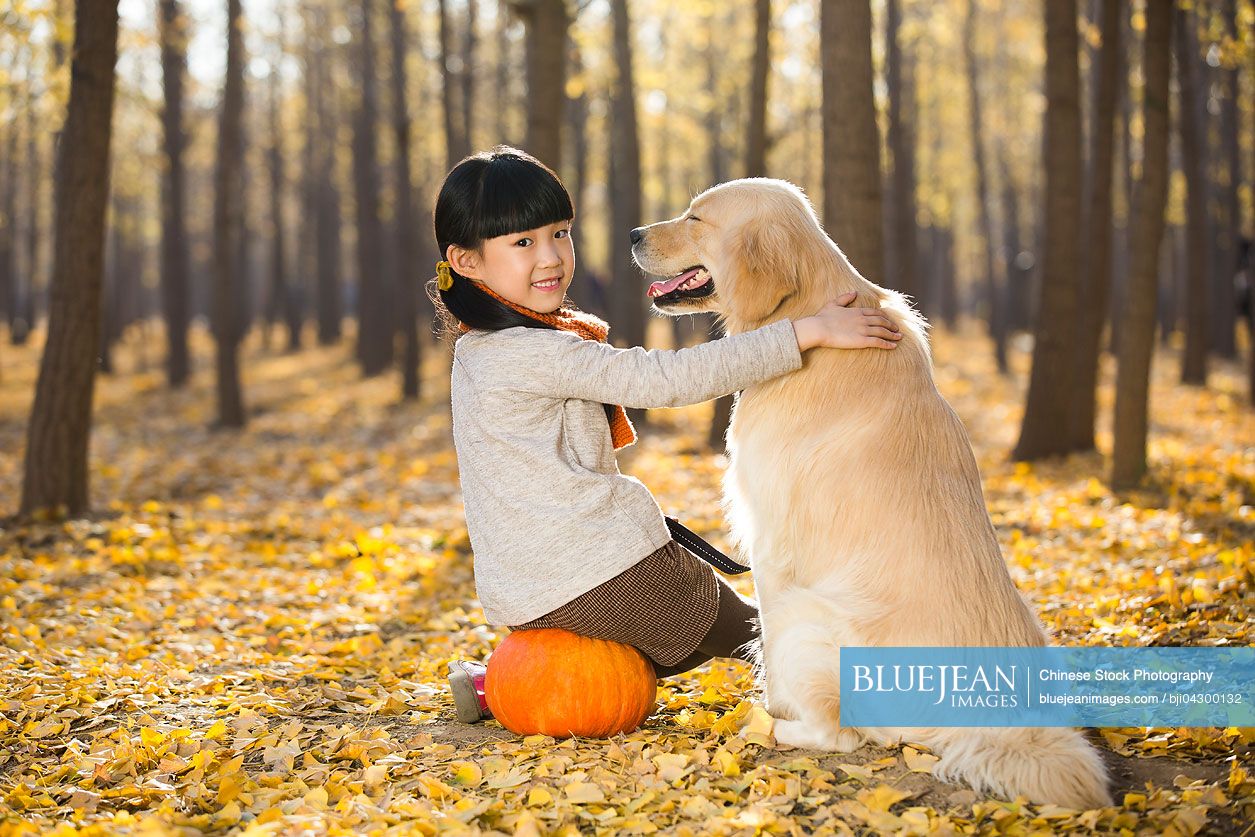 Little Chinese girl playing with dog in autumn woods-High-res stock ...