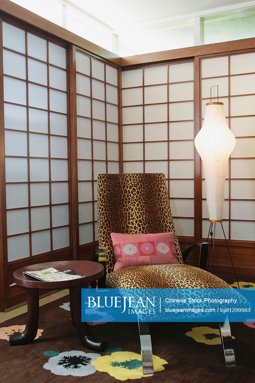 Leopard print chaise lounge-High-res stock photo for download