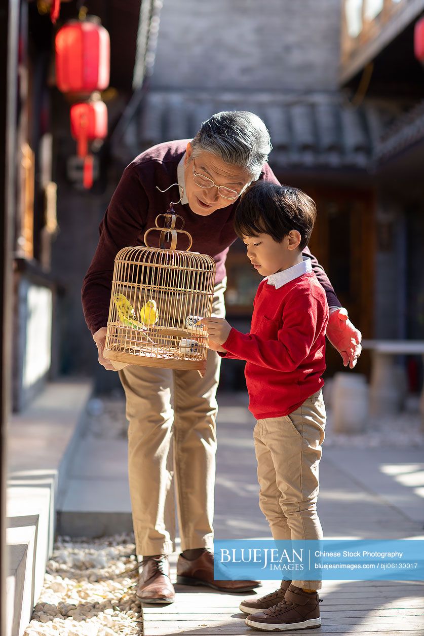 Happy Chinese grandfather and grandson with pet birds in cage-High-res ...