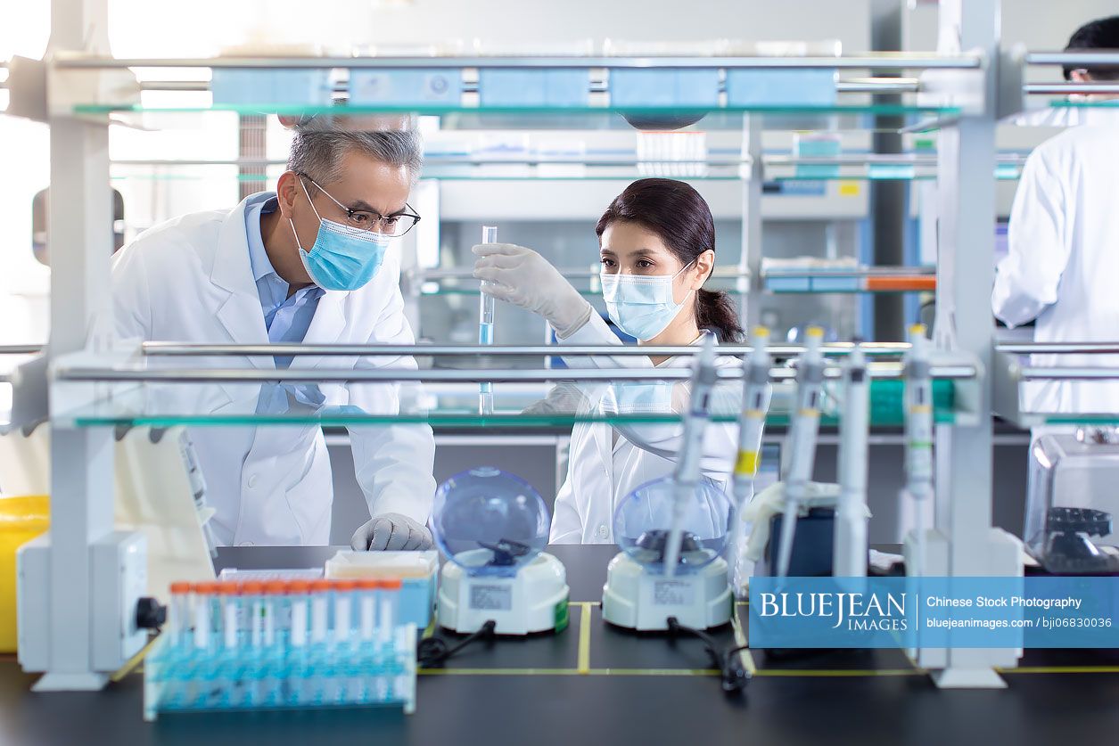 Chinese scientists examining medical sample in laboratory-High-res ...