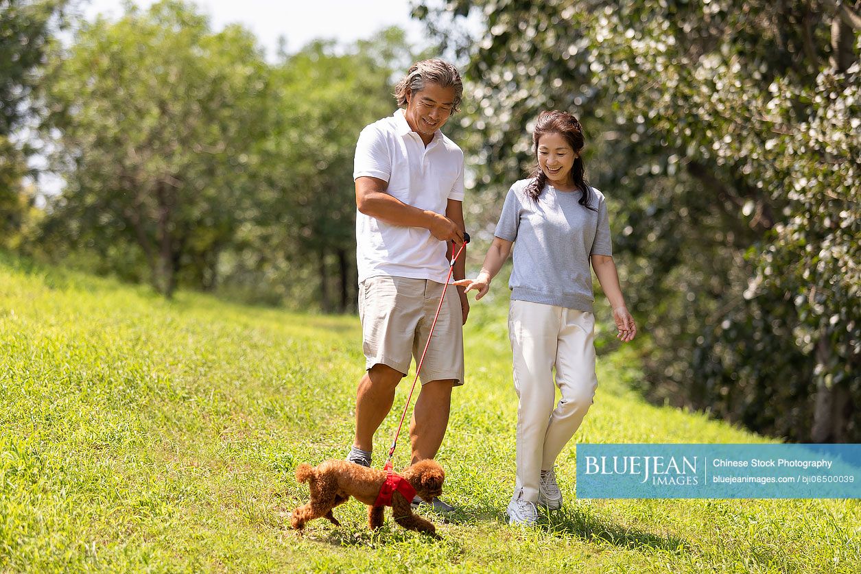 Happy mature Chinese couple walking with a cute dog-High-res stock photo for download