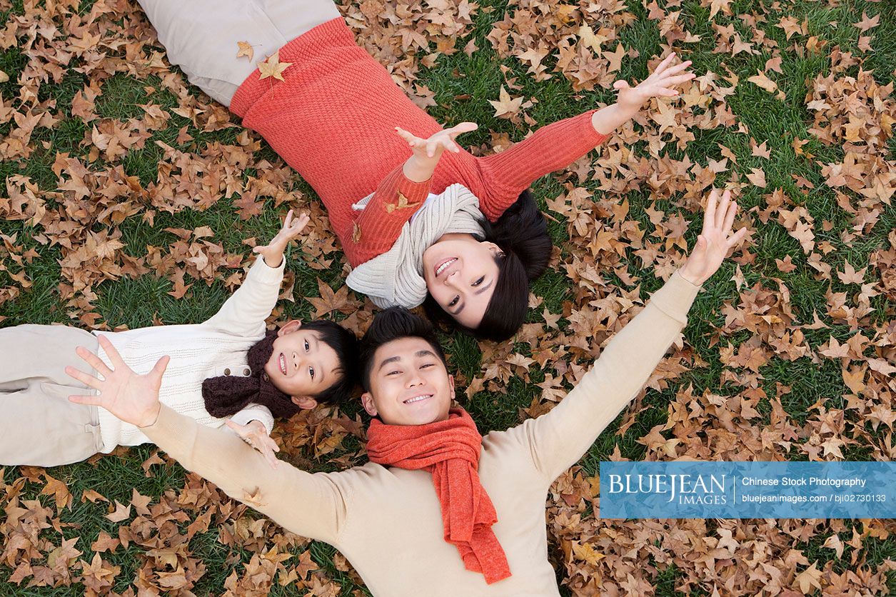 Young Chinese family lying on the grass surrounded by autumn leaves ...