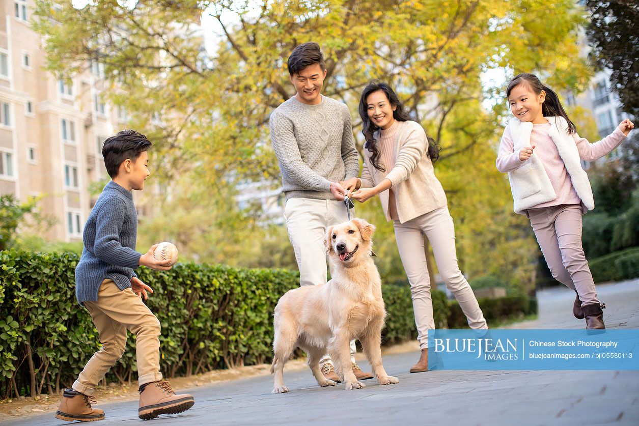 Happy young Chinese family playing with dog-High-res stock photo for ...