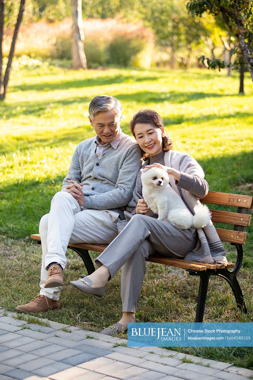 Cheerful senior Chinese couple playing with a cute dog-High-res stock photo for download
