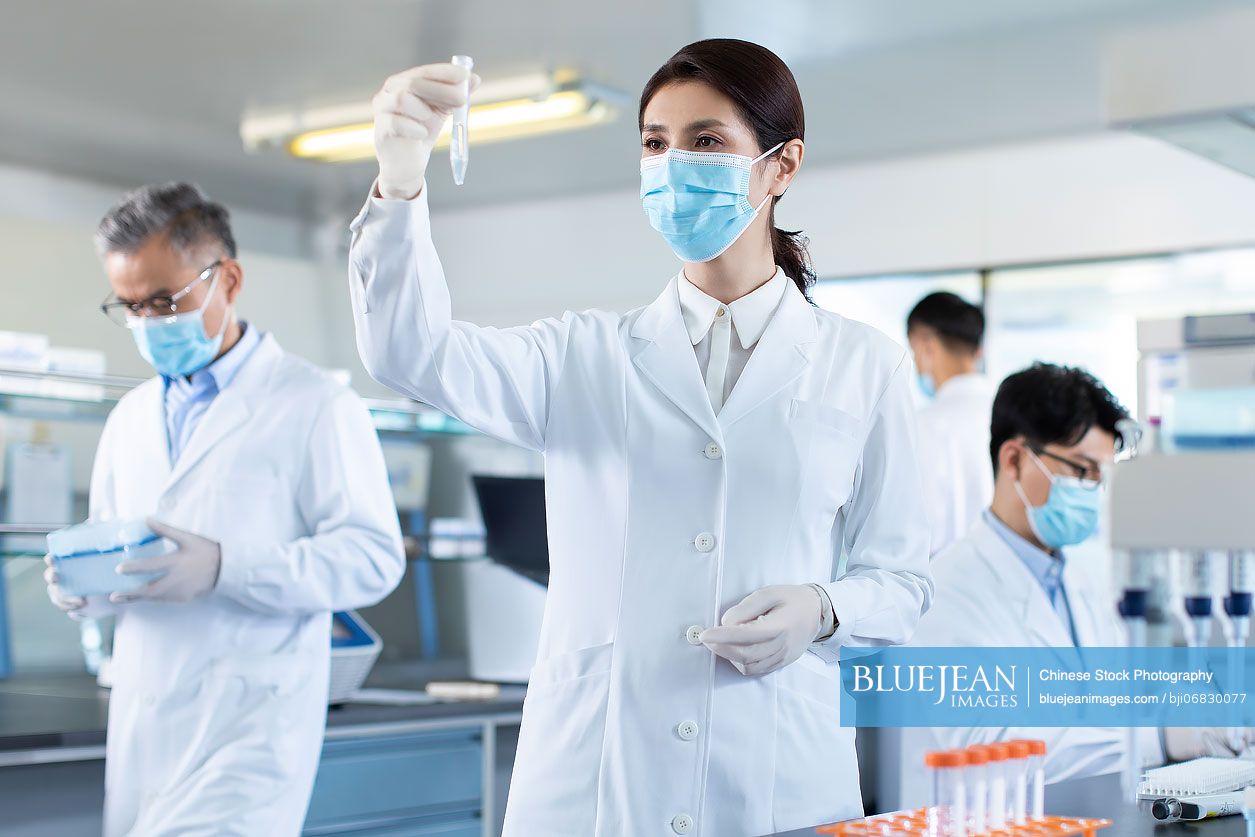 Chinese scientists examining medical sample in laboratory-High-res ...