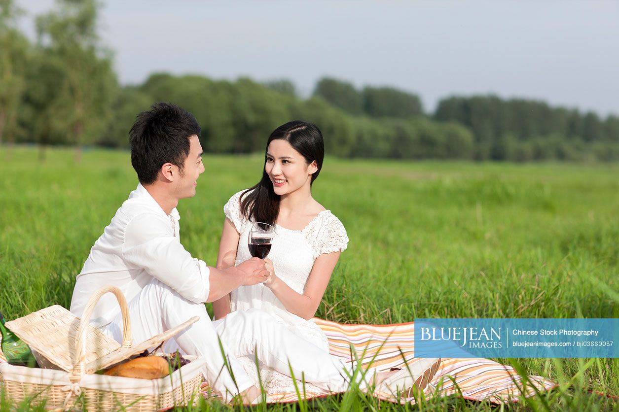 Cheerful young Chinese couple having a picnic on the grass-High-res stock photo for download