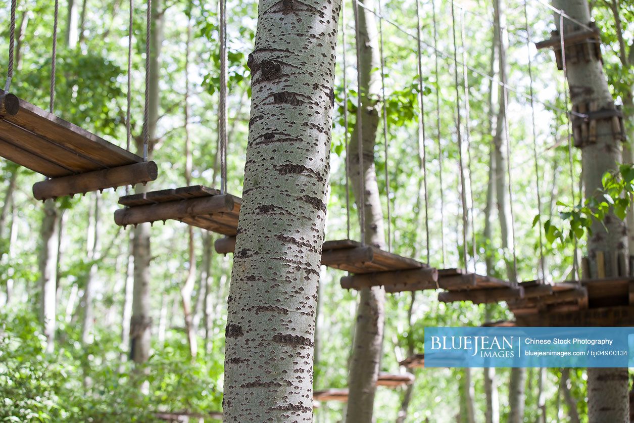 Tree top adventure park-High-res stock photo for download