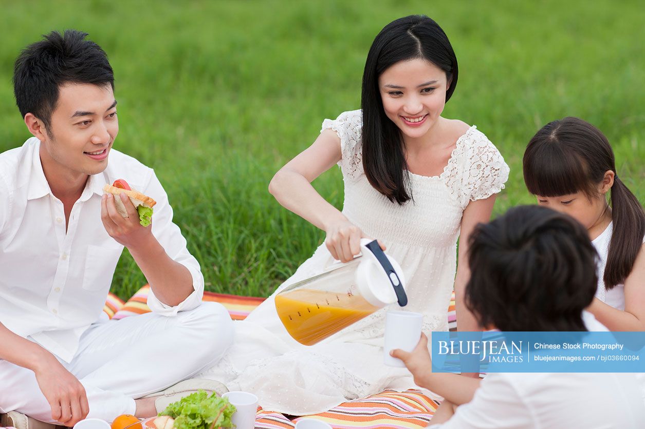 Happy young Chinese family having a picnic on the grass-High-res stock ...