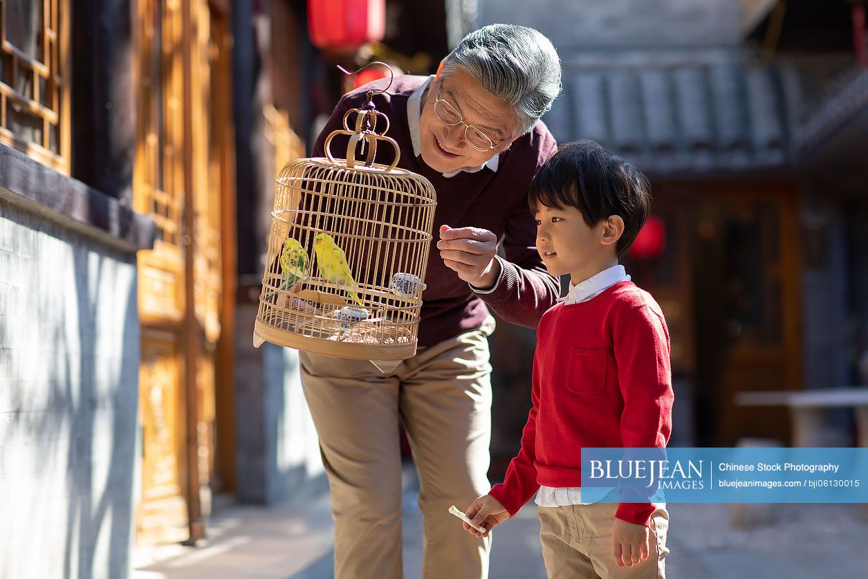 Happy Chinese grandfather and grandson with pet birds in cage-High-res ...