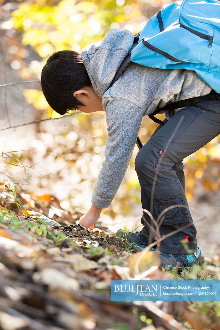 Curious Chinese boy exploring nature-High-res stock photo for download