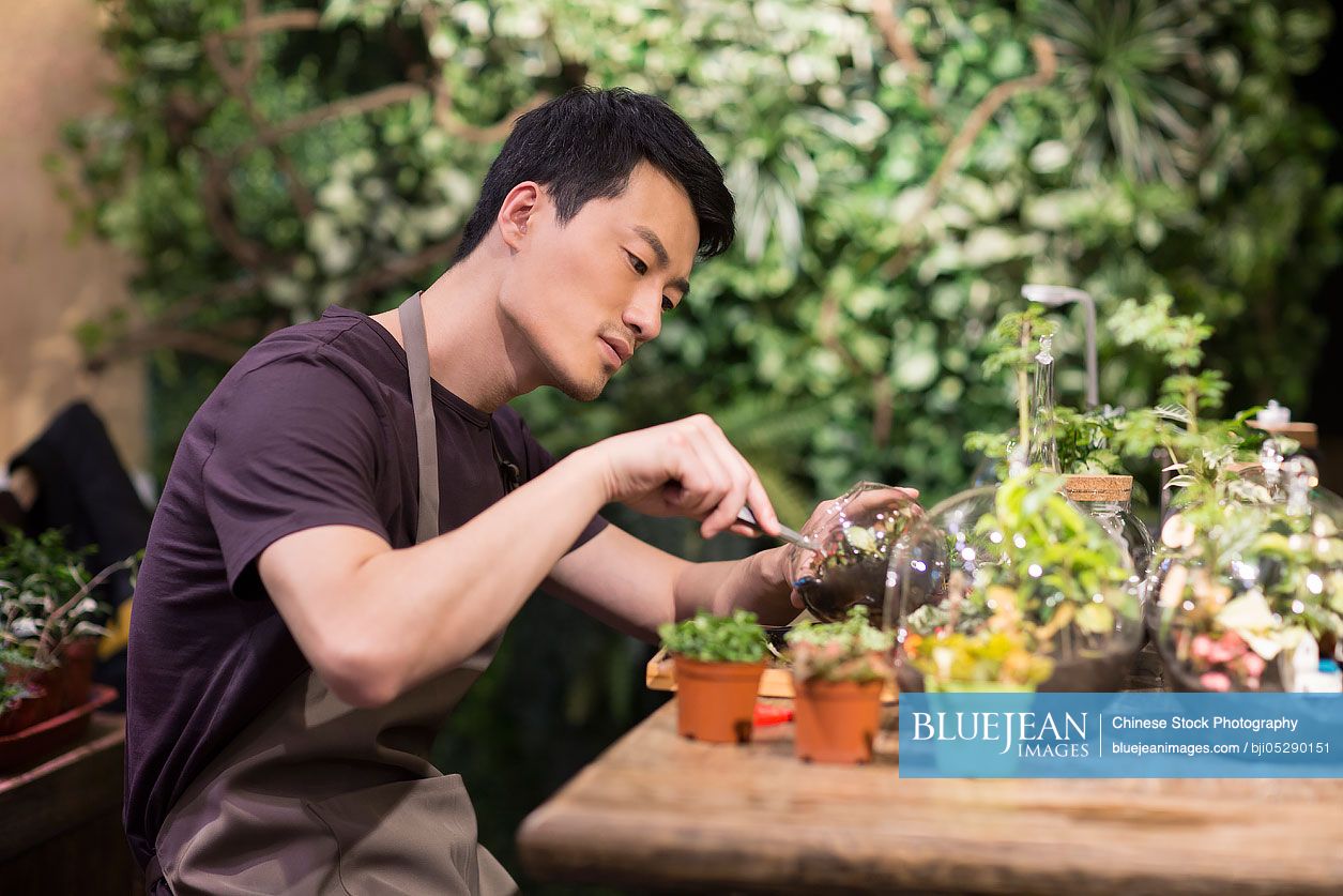 Young Chinese man working in plant shop-High-res stock photo for download