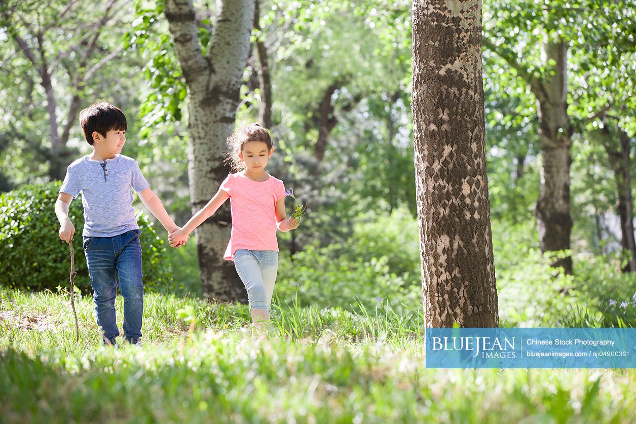 Happy Chinese children holding hands walking in woods-High-res stock photo for download