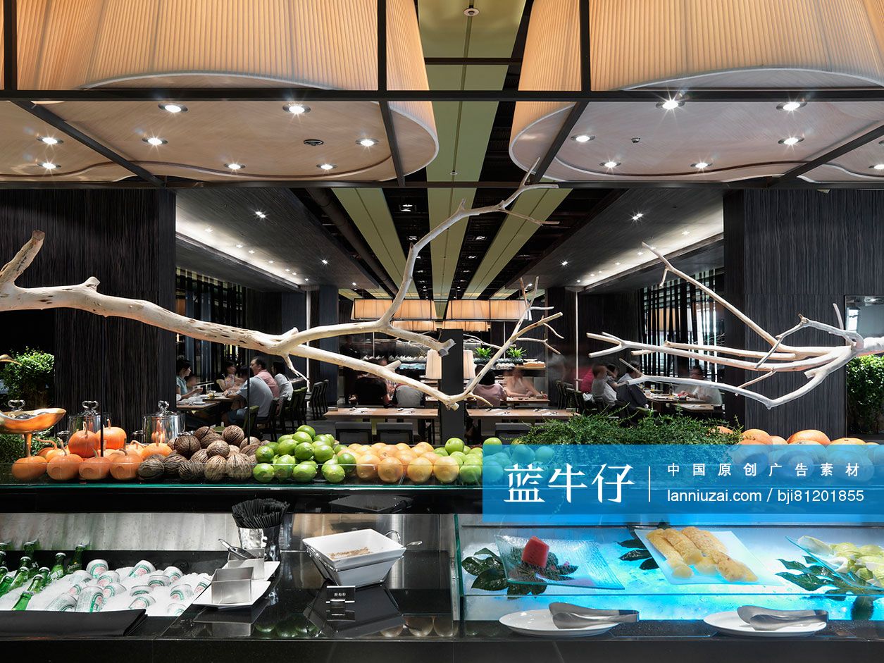 Variety of dishes on buffet counter in modern restaurant-蓝牛仔影像-中国原创广告影像素材