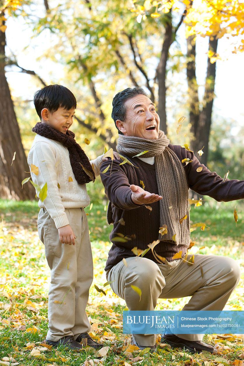 Chinese boy with grandfather watching leaves fall-High-res stock photo ...