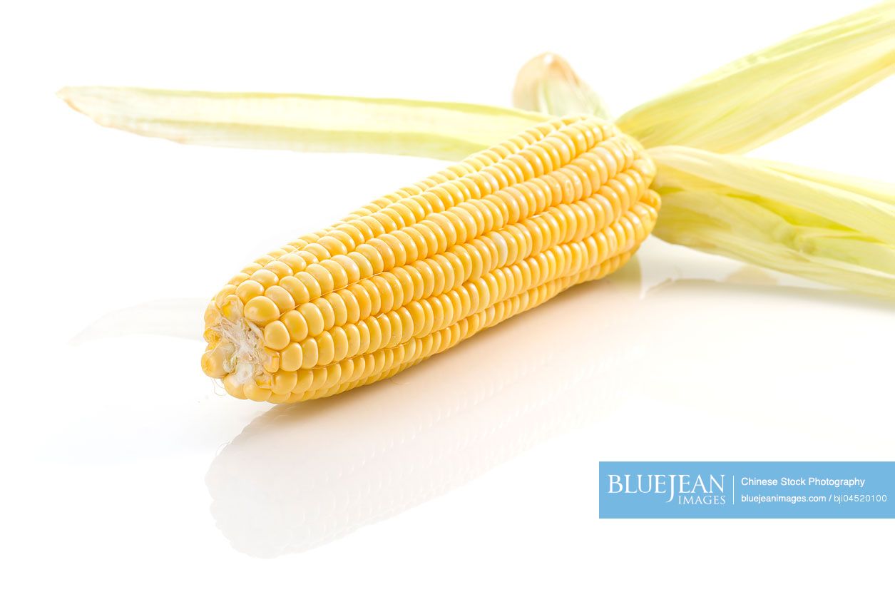 Corn cob-High-res stock photo for download