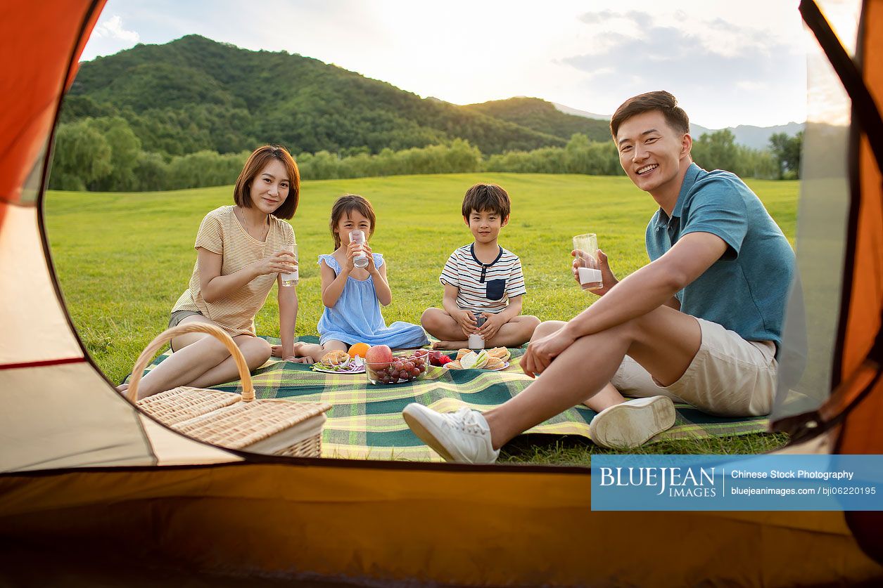 Happy young Chinese family having a picnic outdoors-High-res stock ...