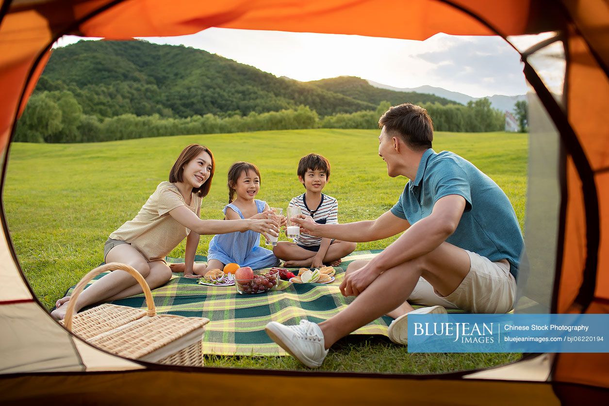 Happy young Chinese family having a picnic outdoors-High-res stock ...