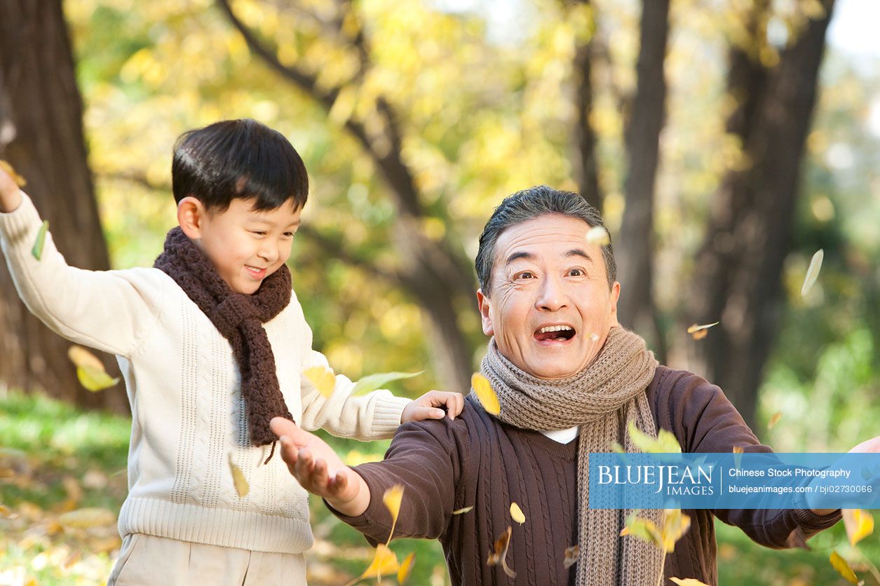 Chinese boy with grandfather watching leaves fall-High-res stock photo ...