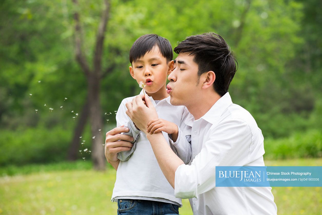 Happy Chinese father and son blowing dandelion together-High-res stock ...