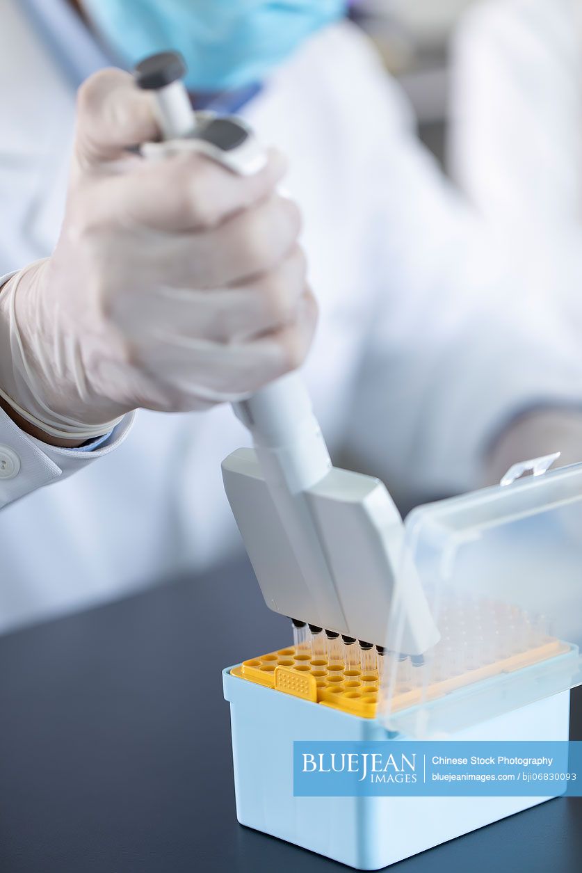 Chinese scientist pipetting samples in laboratory-High-res stock photo ...