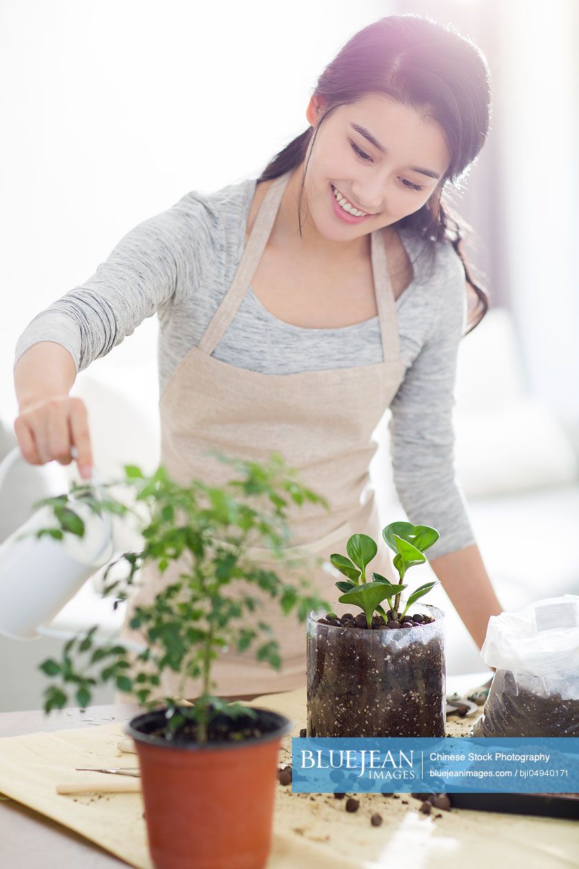 Young Chinese woman planting potted plant at home-High-res stock photo for download
